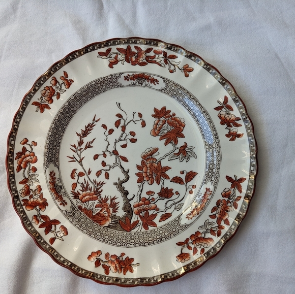 Spode | Dining | Vintage Copeland Spode Orange Floral India Tree ...